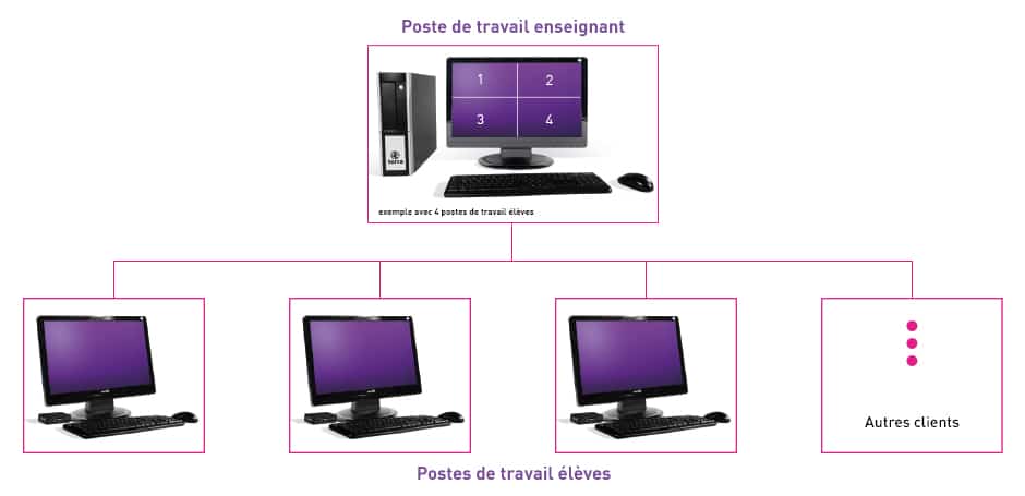 Qu'est-ce que c'est TERRA Microsoft Multipoint Server